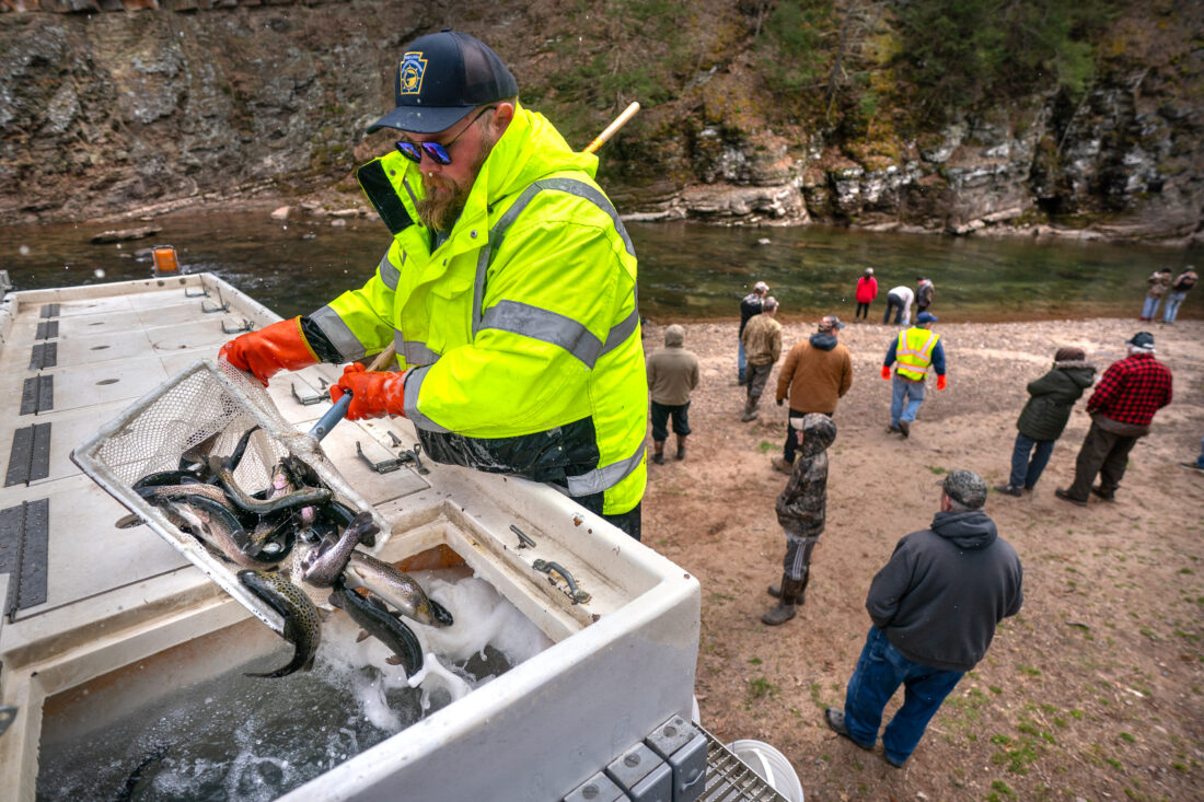 Trout season start is near | News, Sports, Jobs - Williamsport Sun-Gazette